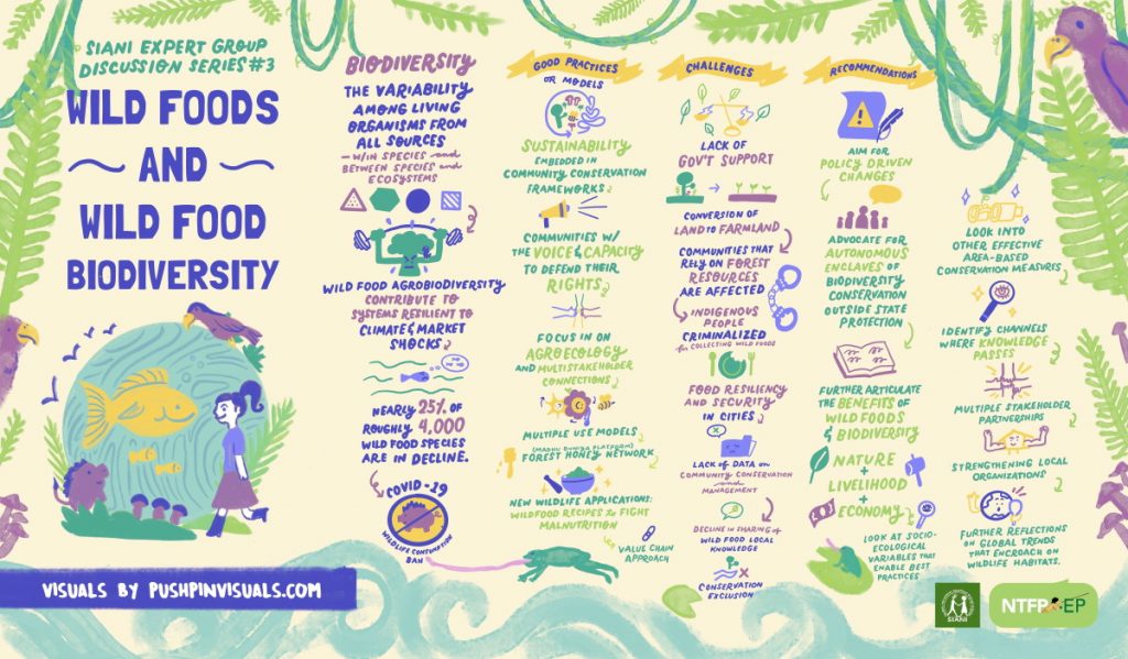 Expert group reflects on wild foods and biodiversity – NTFP-EP