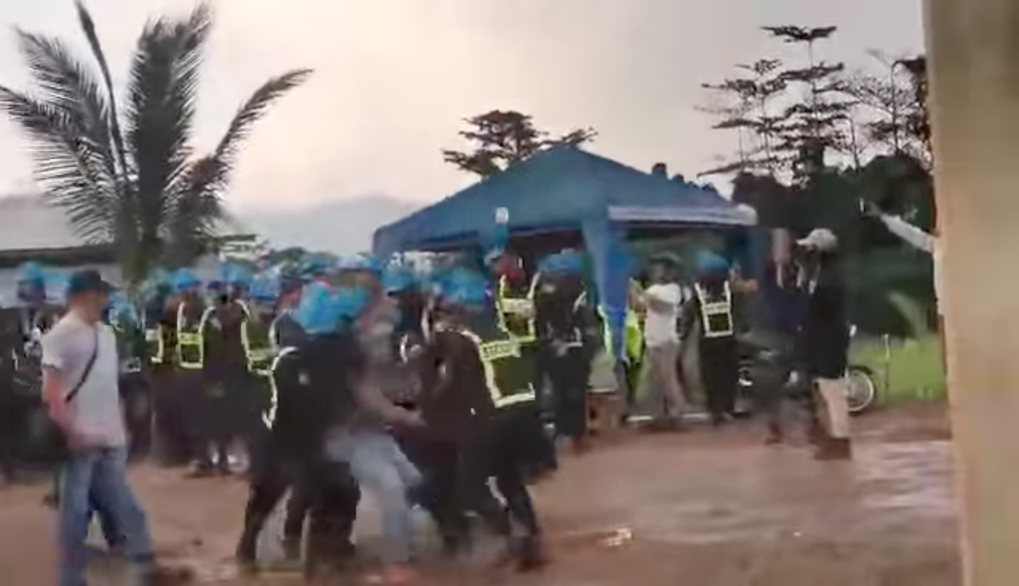 Save Palawan Movement, green groups denounce harassment of local ...