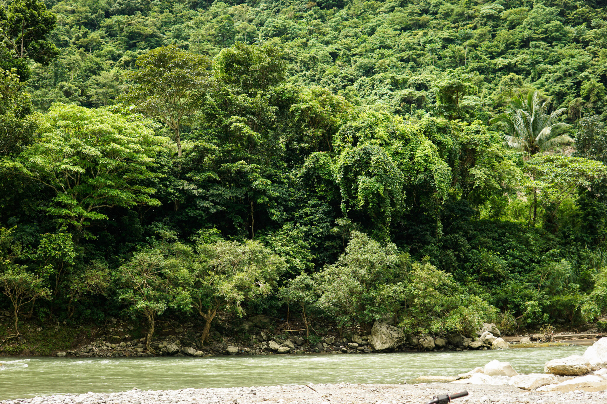 IN PHOTOS: GLA visits Dumagat-Remontado ancestral domain in Rizal ...