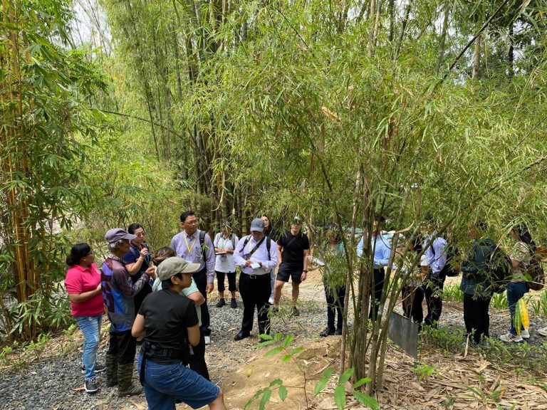 Strengthening Forest-Based Livelihoods: Lao PDR and Myanmar Delegates ...